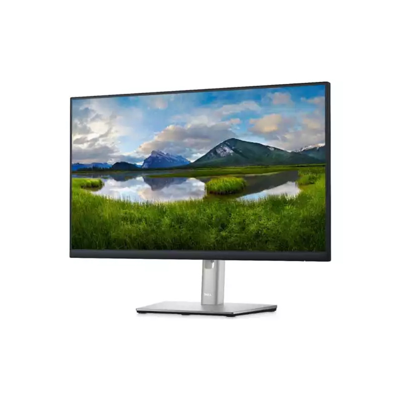 Monitor 23.8 Dell P2422H 1920x1080/Full HD/IPS/5ms/HDMI/DP/VGA/USB ...